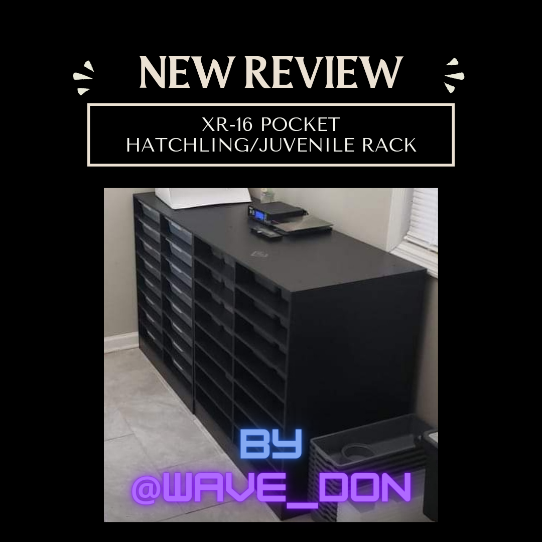 XR-16 Pocket Hatchling/Juvenile Rack Review – BlackBox Cages & Rack Systems