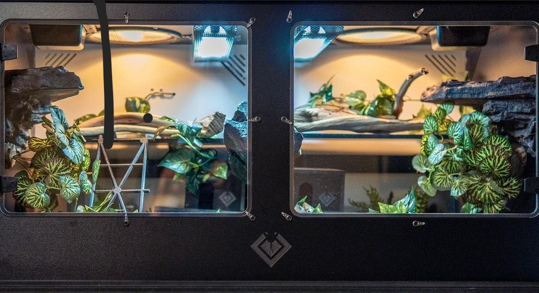 Removable Cage Shelving – BlackBox Cages & Rack Systems